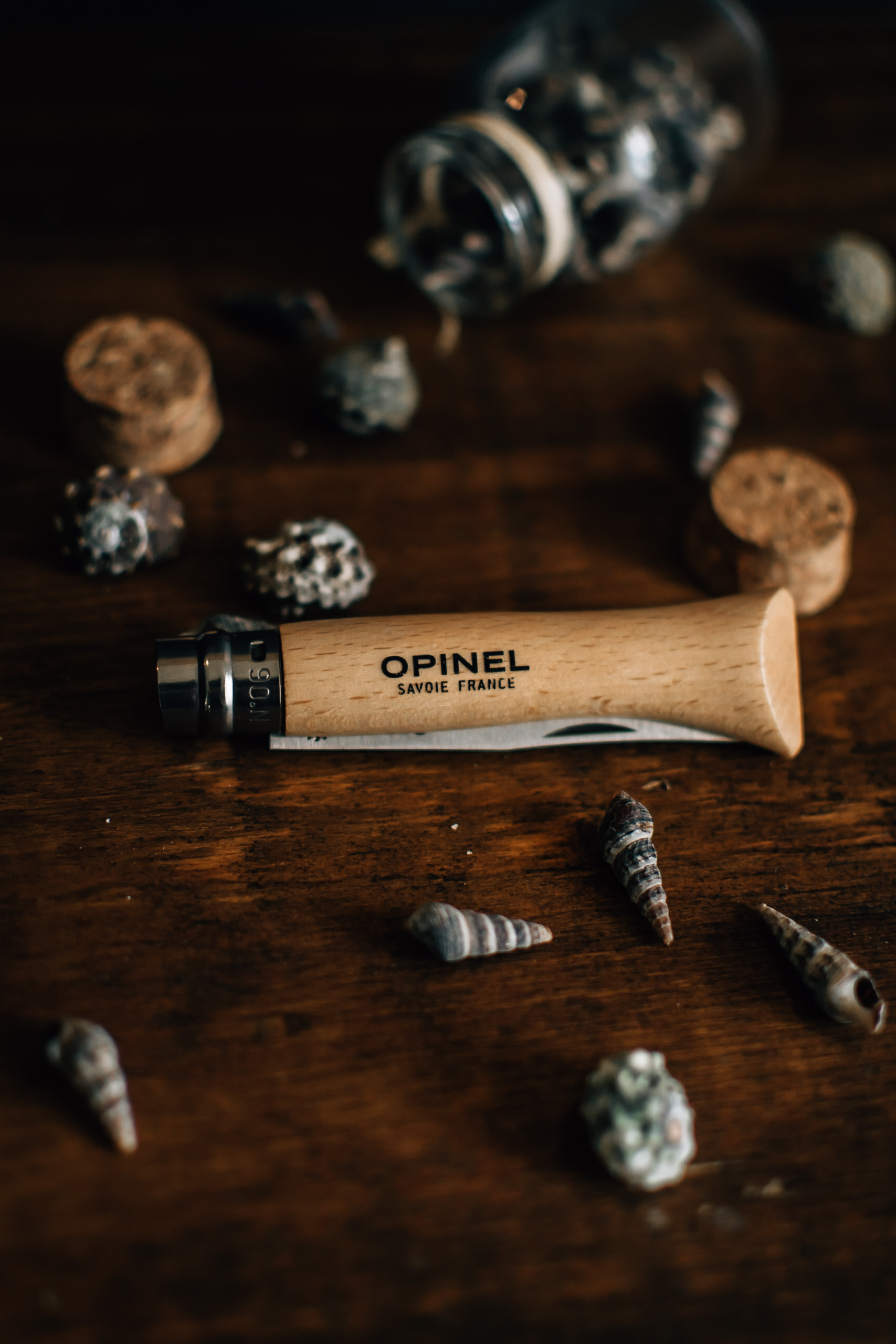 Define : Andrea – Capturing the Moment